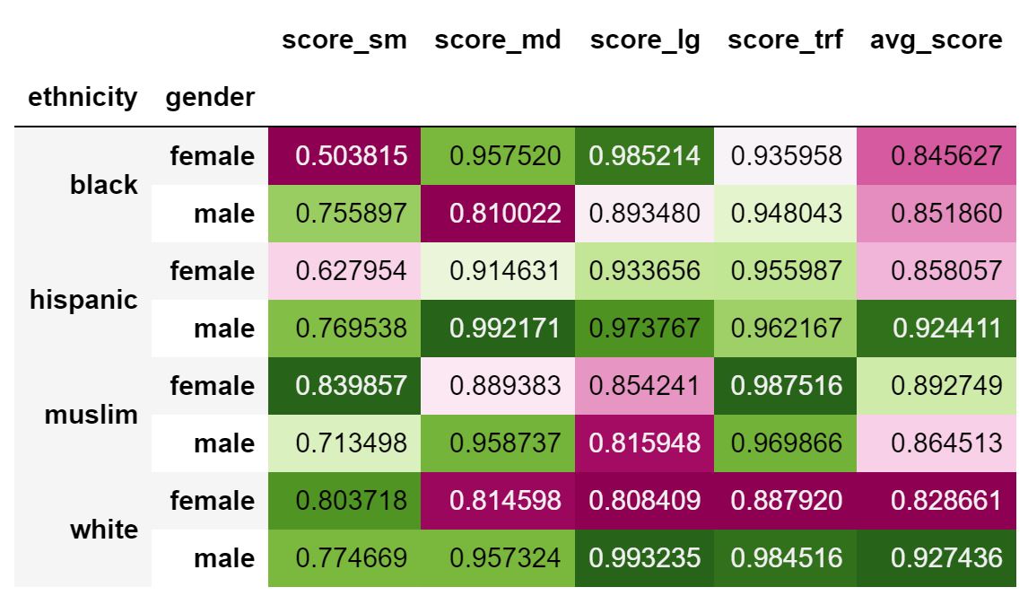 decoding_ner_biases | Decoding NER Biases